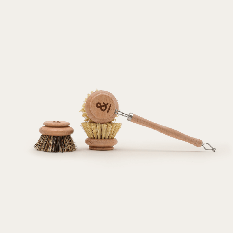 Seed & Sprout Dish Brush Set – Short Street Kitchen